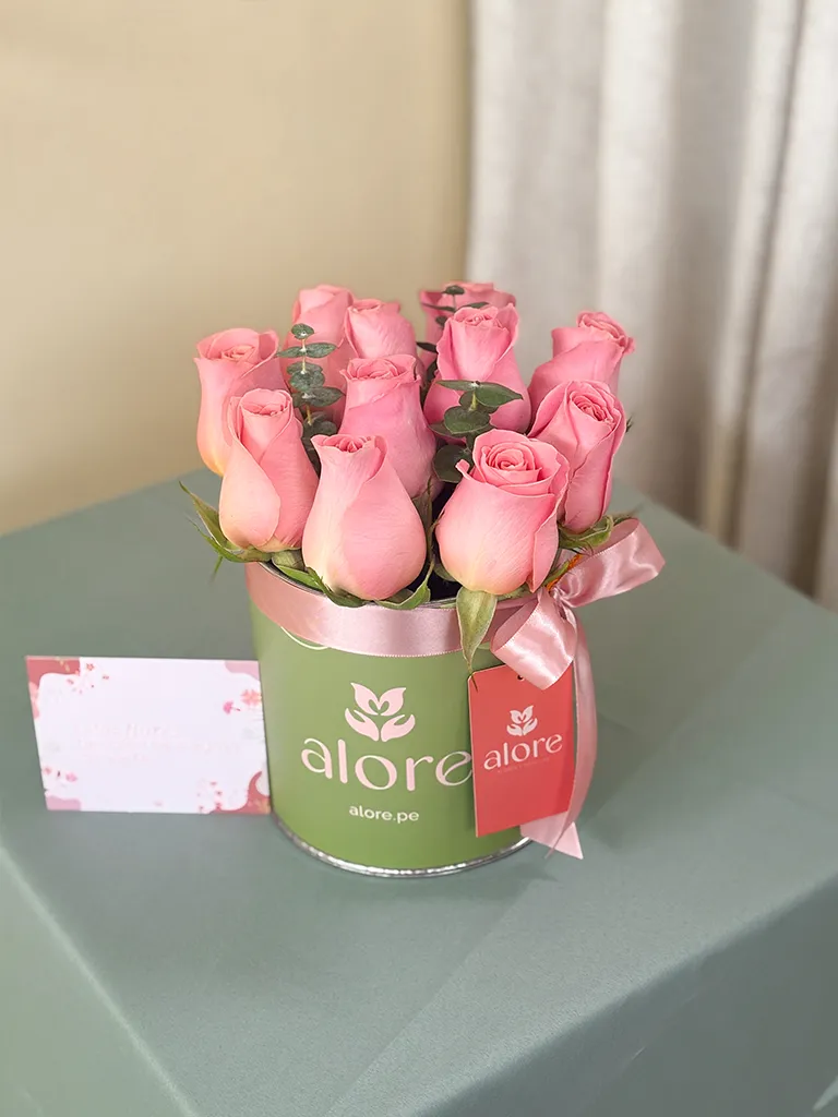 Box Marie - Alore