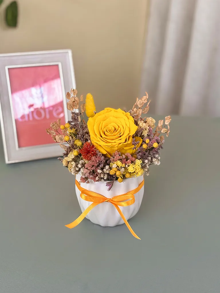 Preservada "Yellow' - Alore